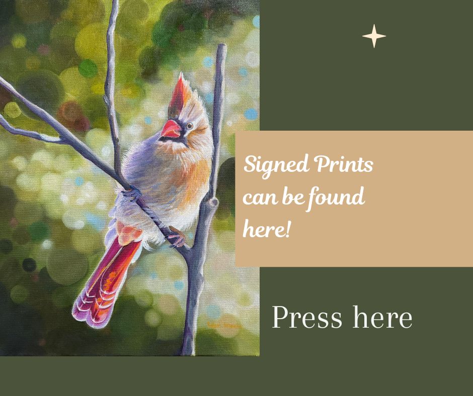 Robin Sheehy Fine Art